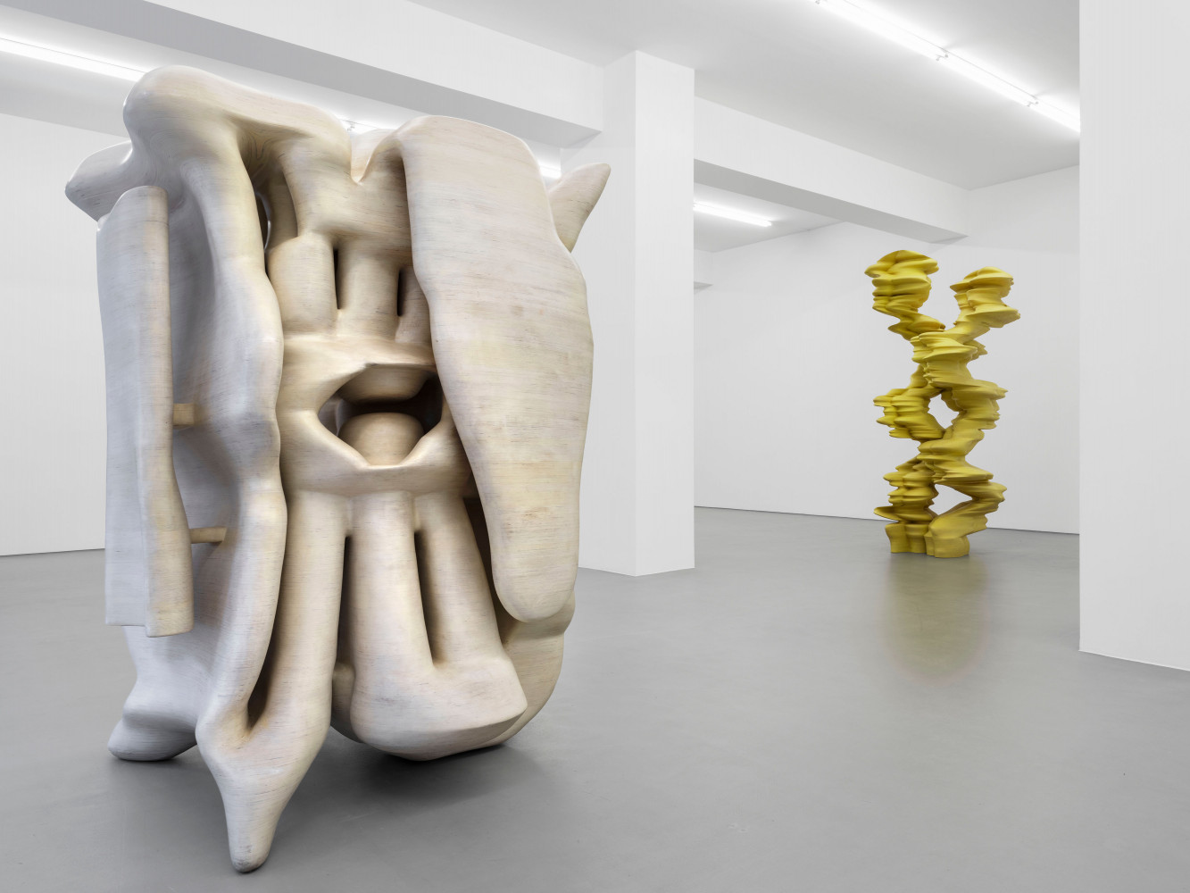Tony Cragg – Sculpture, 2024 | Exhibitions | Buchmann Galerie