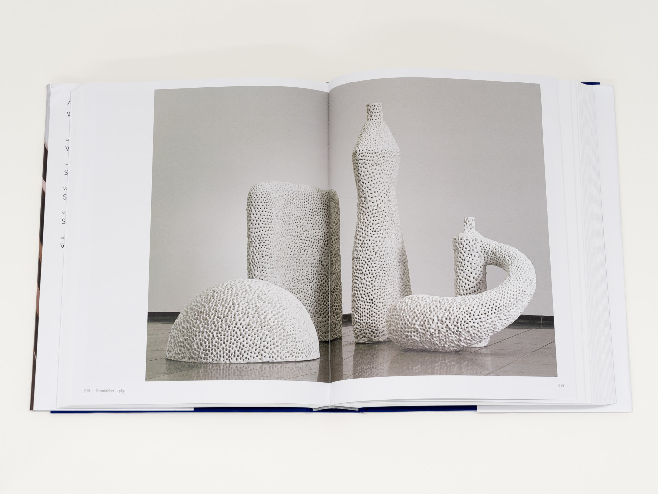 Anthony Cragg – Sculpture 1986–2000, 2018 | Publications